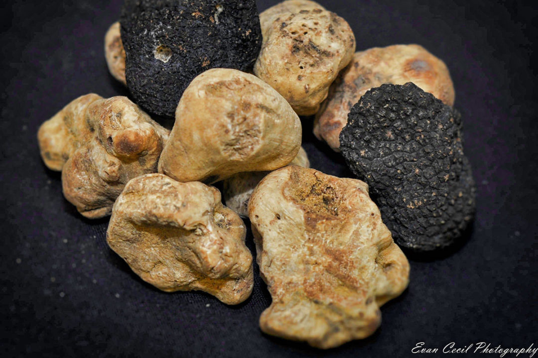 Galerie de Photos de Chez Francois | Chez Francois Restaurant